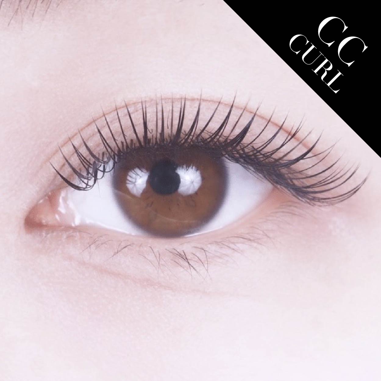 【NEW CASE】ﾌﾗｯﾄﾗｯｼｭ Longue durée / 0.10mm – perfect-lash-japan